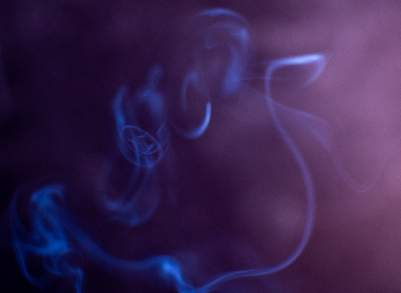 Herbal Renewal All-Natural Incense | Lavender Rosemary Incense Sticks