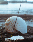 Incense Gift Set | Best Gift for Incense Lovers